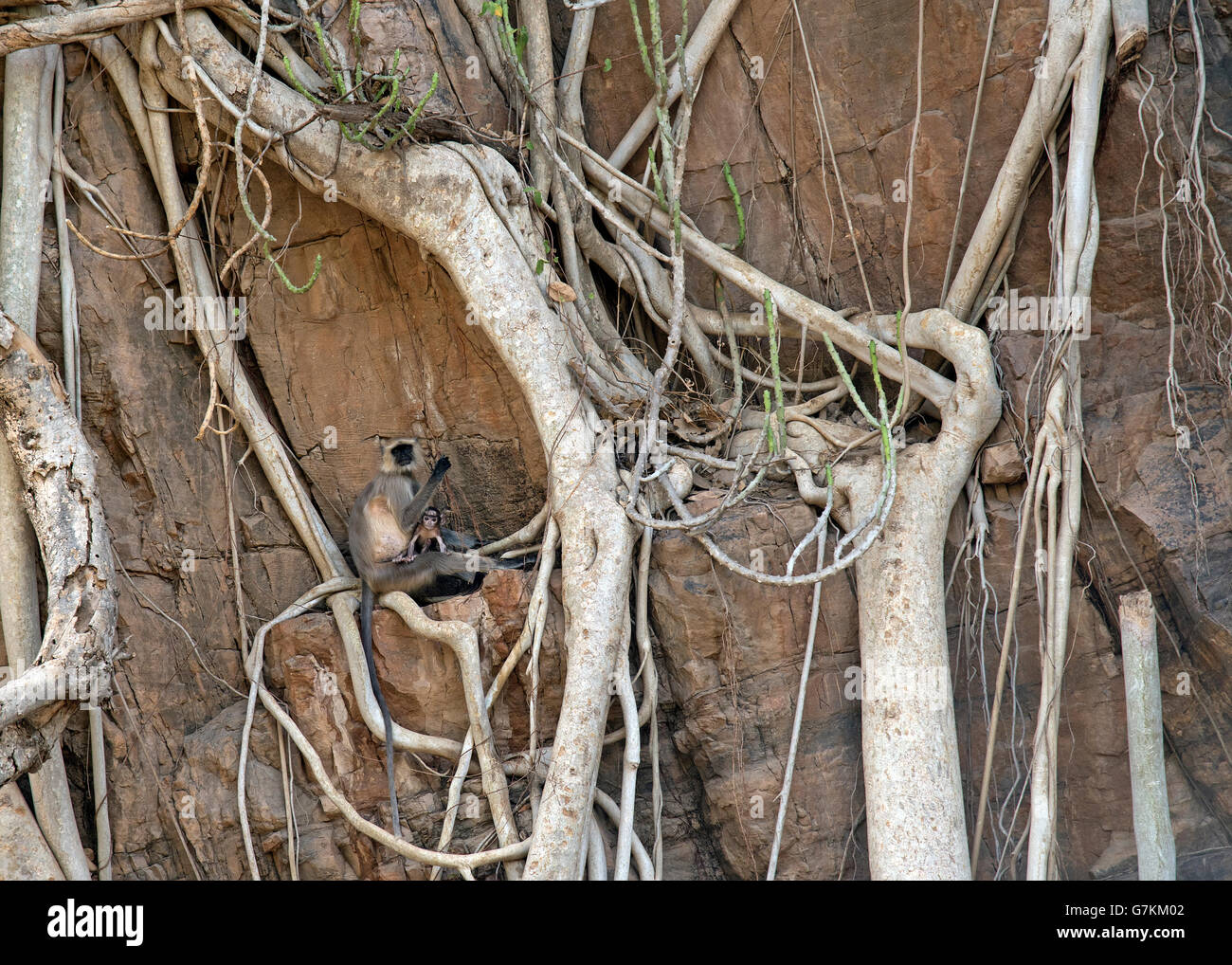 Map india image national hi-res stock photography and images - Alamy