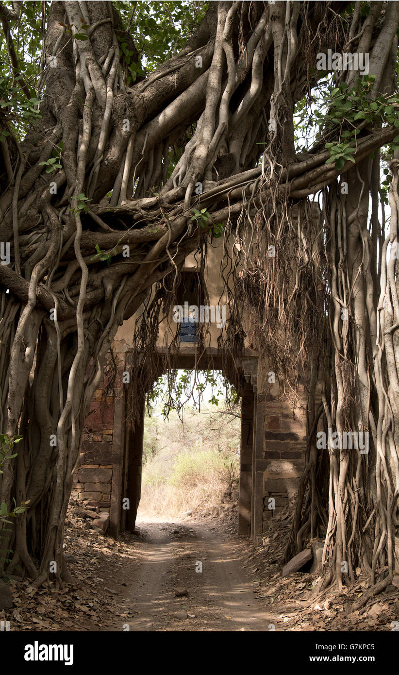 Map of rajasthan hi-res stock photography and images - Alamy