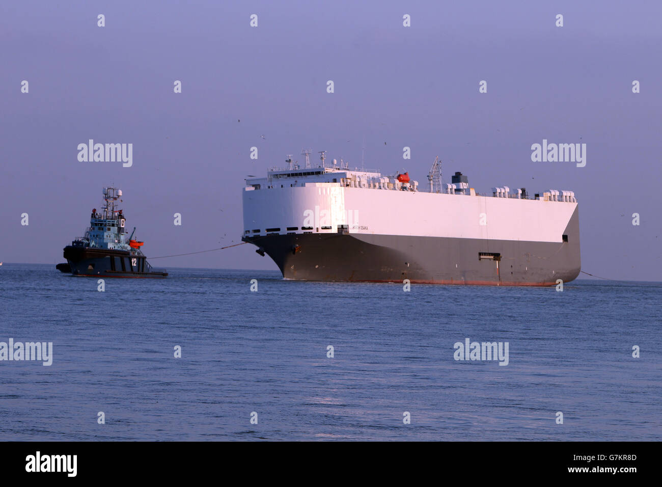 Solent ship grounding Stock Photo - Alamy