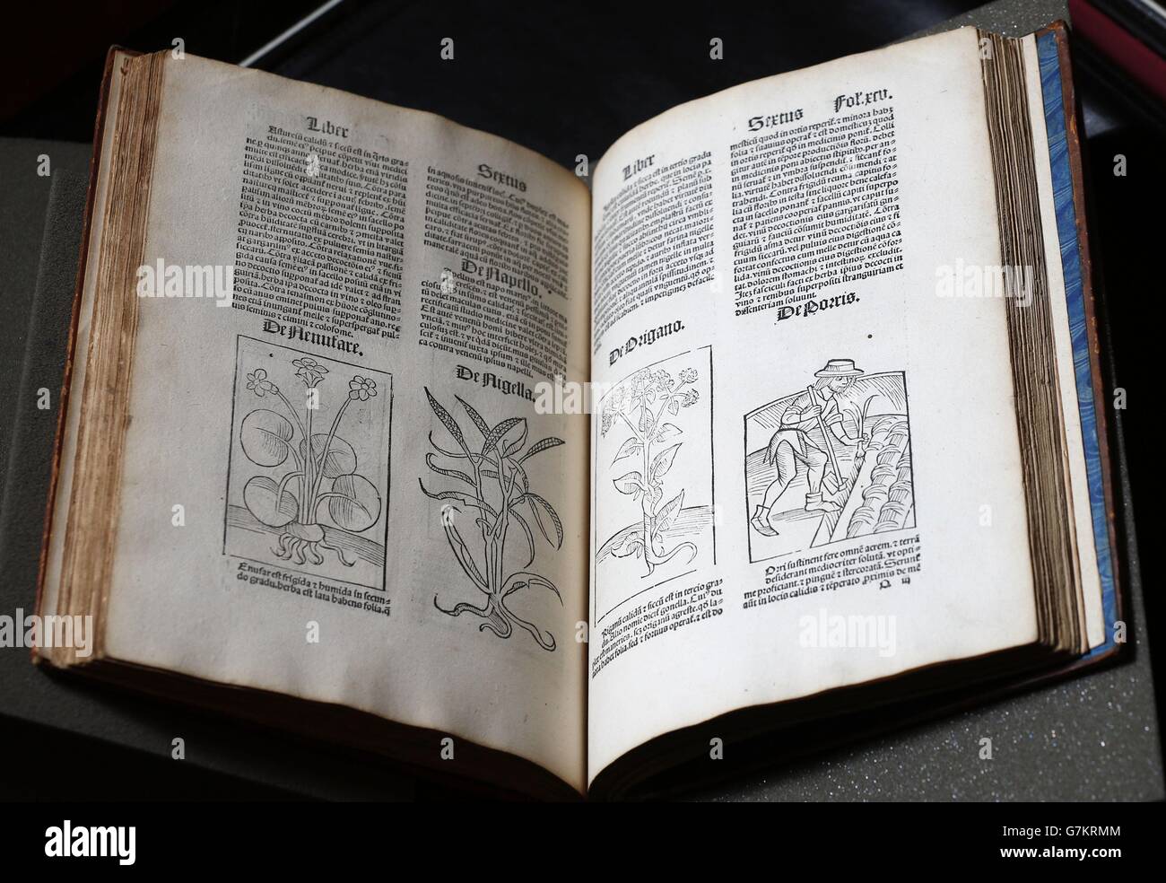 Windsor castle royal library hi-res stock photography and images - Alamy