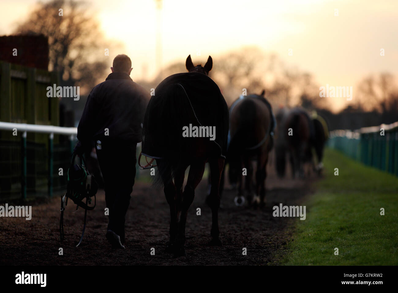 Horses make way back to stables racing warwick racecourse hi-res stock ...