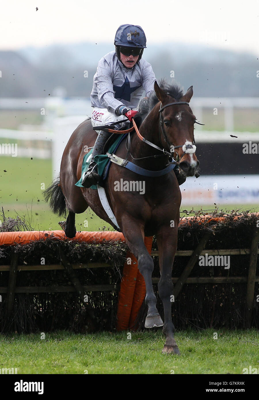Solo hunter ridden trevor whelan racinguk hi-res stock photography and ...