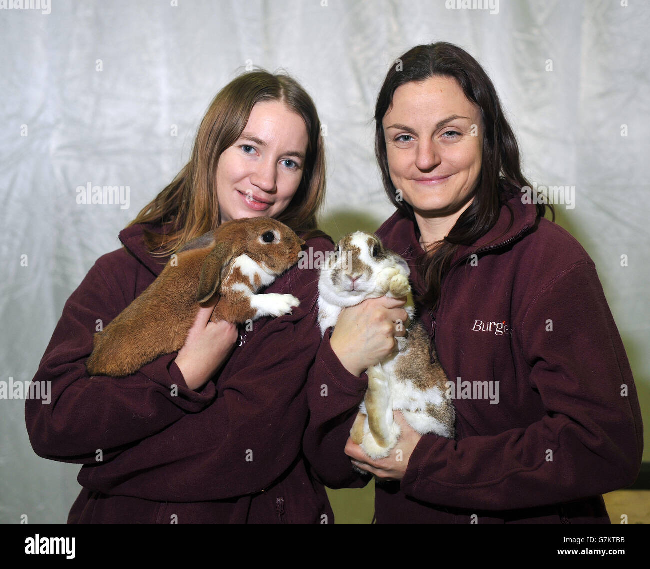 Small animal show harrogate hi-res stock photography and images - Alamy