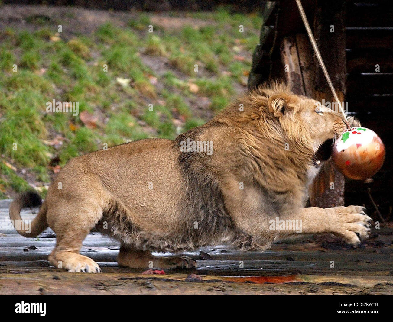 Lucifer hi-res stock photography and images - Alamy