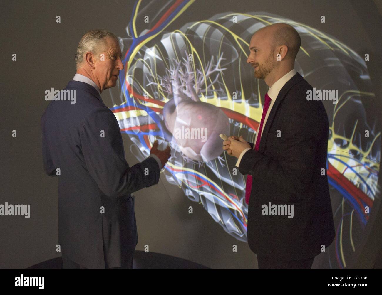 Archie Hughes-Hallett, Clinical Research Fellow at Imperial College ...