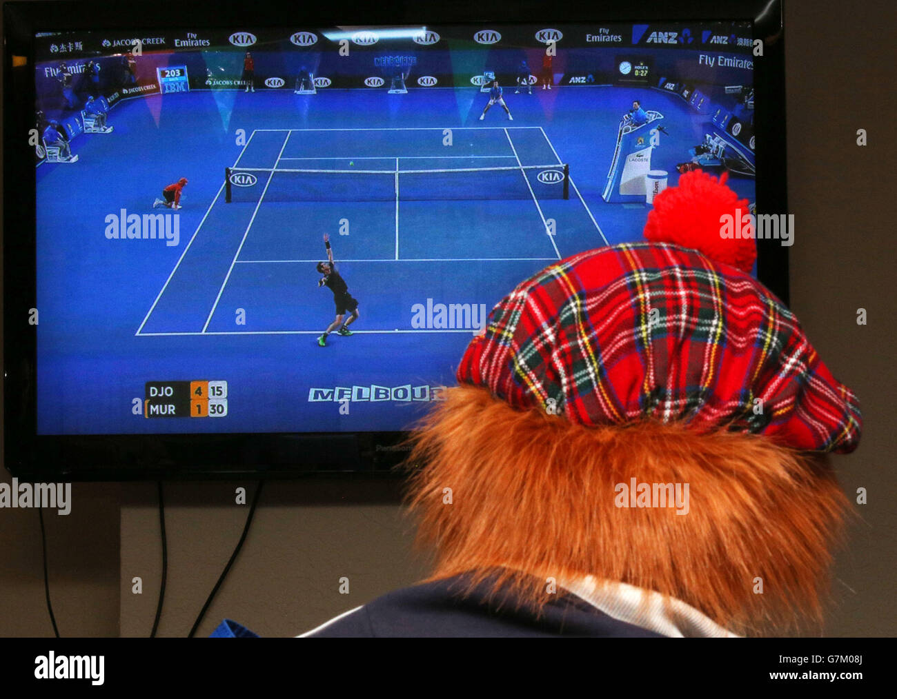 Australian Open final. A fan at Dunblane Sports Club in Perthshire ...