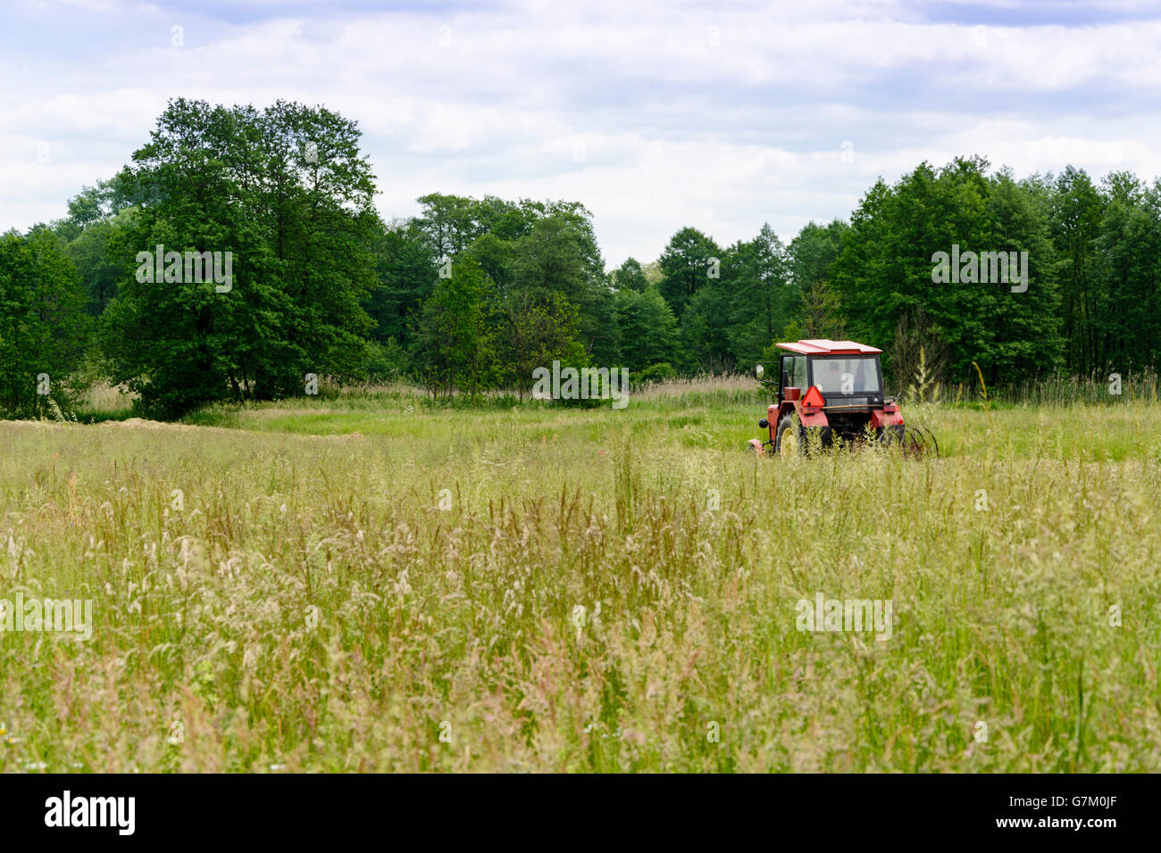 Red tractor on green hi-res stock photography and images - Alamy