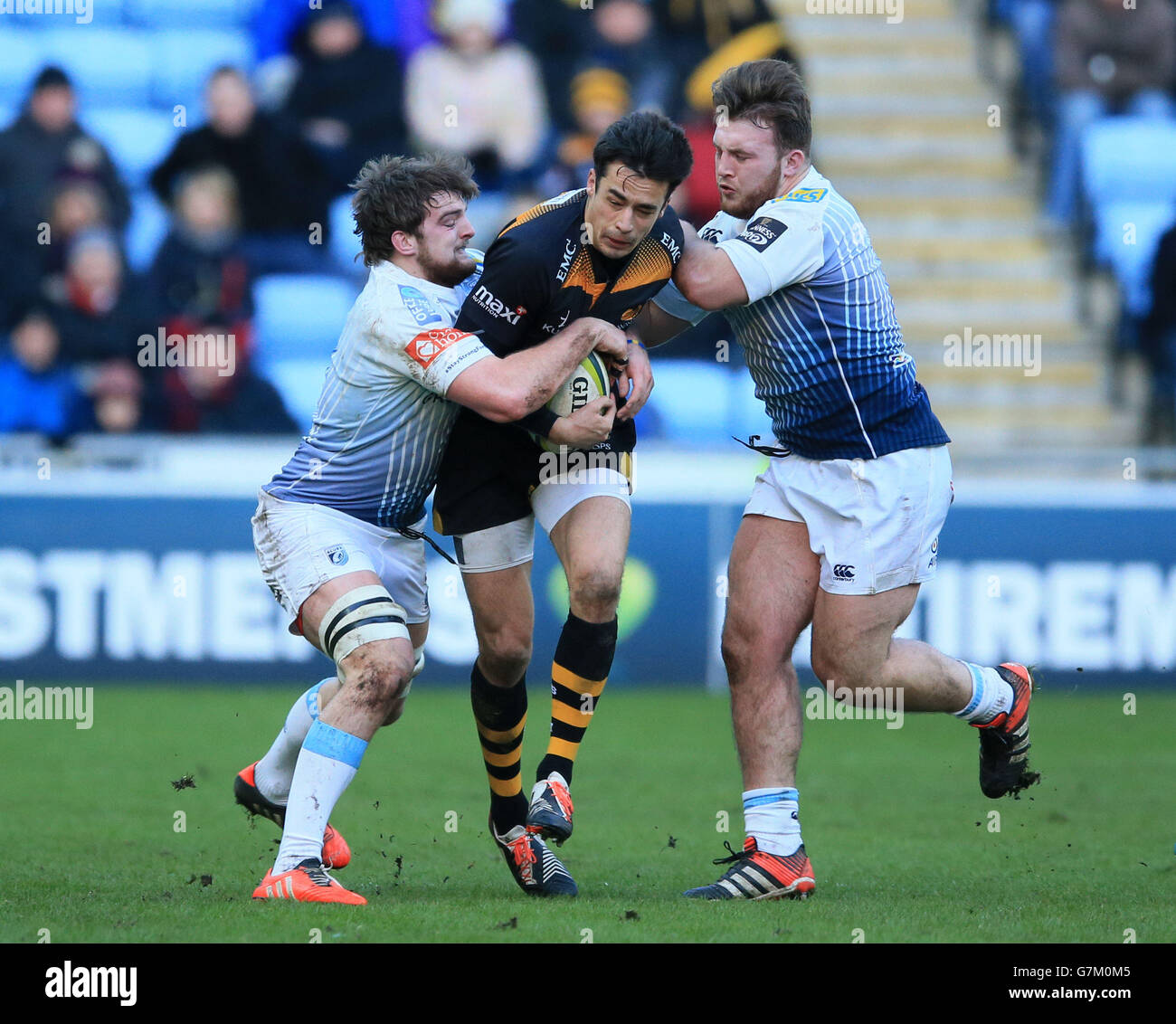 Dillon lewis of cardiff blues hi-res stock photography and images - Alamy