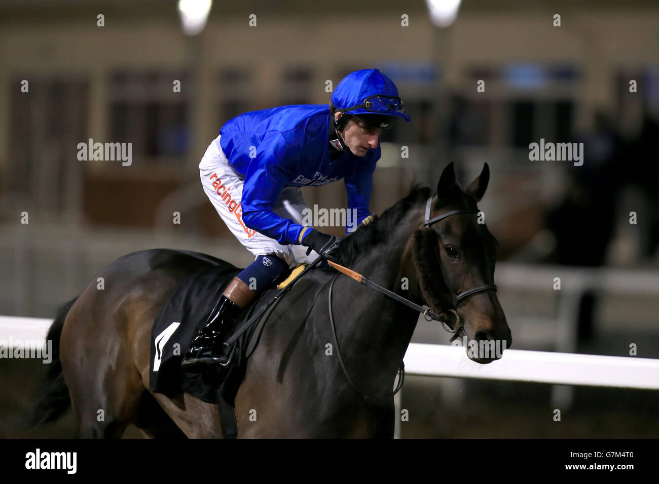 Horse Racing - Chelmsford City Racecourse Stock Photo - Alamy
