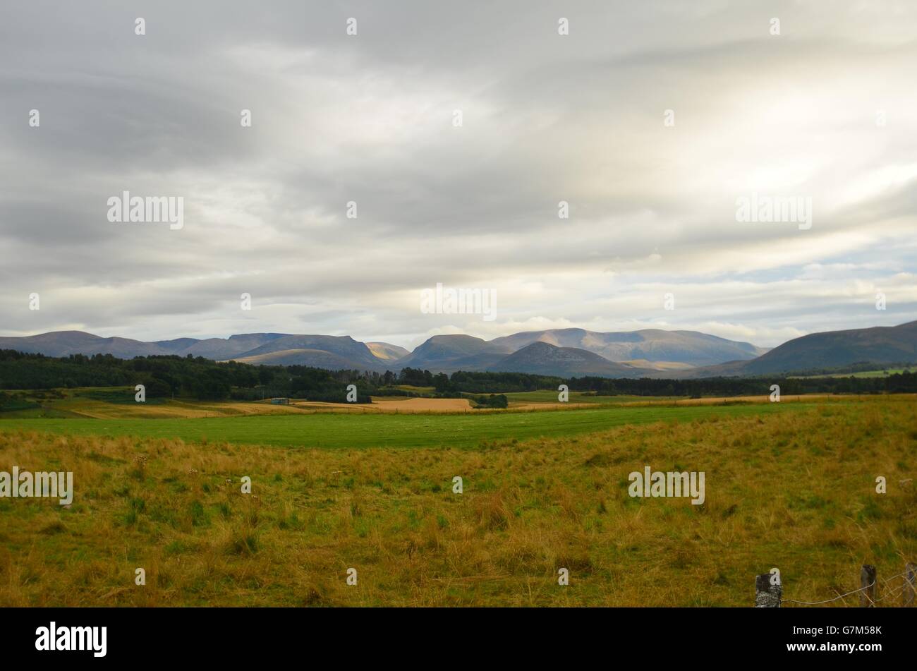 Cairngorm plateau hi-res stock photography and images - Alamy