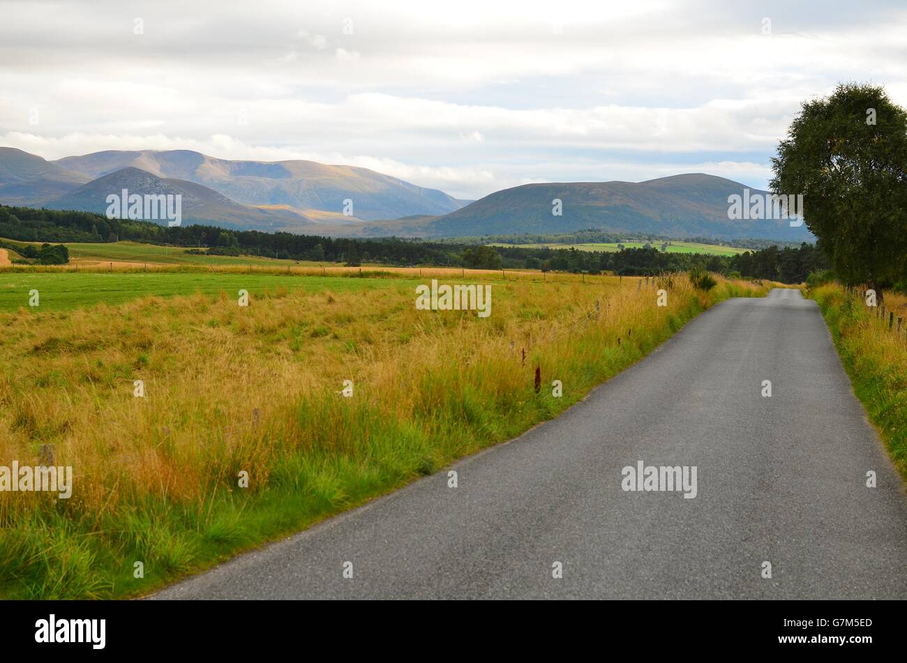 Coylumbridge hi-res stock photography and images - Alamy