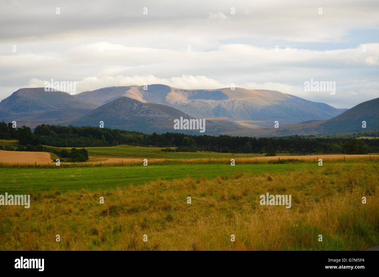 The coylumbridge hi-res stock photography and images - Alamy