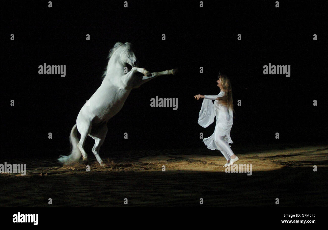 A scene called 'Freedom Dressage' with Litador, the unbridled stallion ...