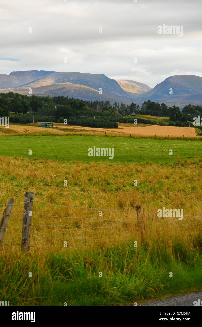 Cairngorm plateau hi-res stock photography and images - Alamy