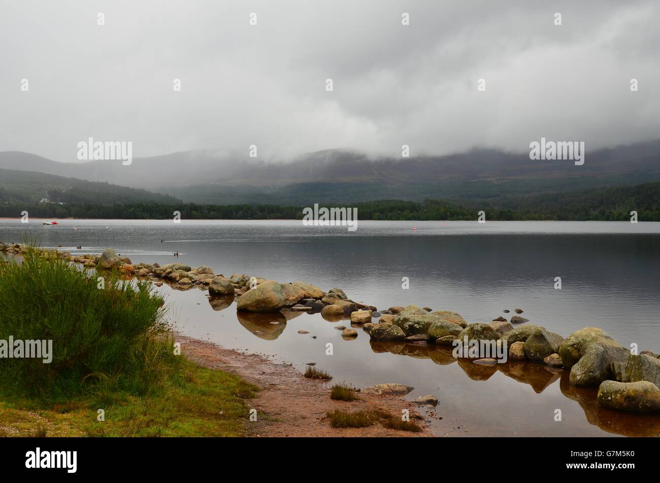 Loch morlich scotland beach hi-res stock photography and images - Alamy