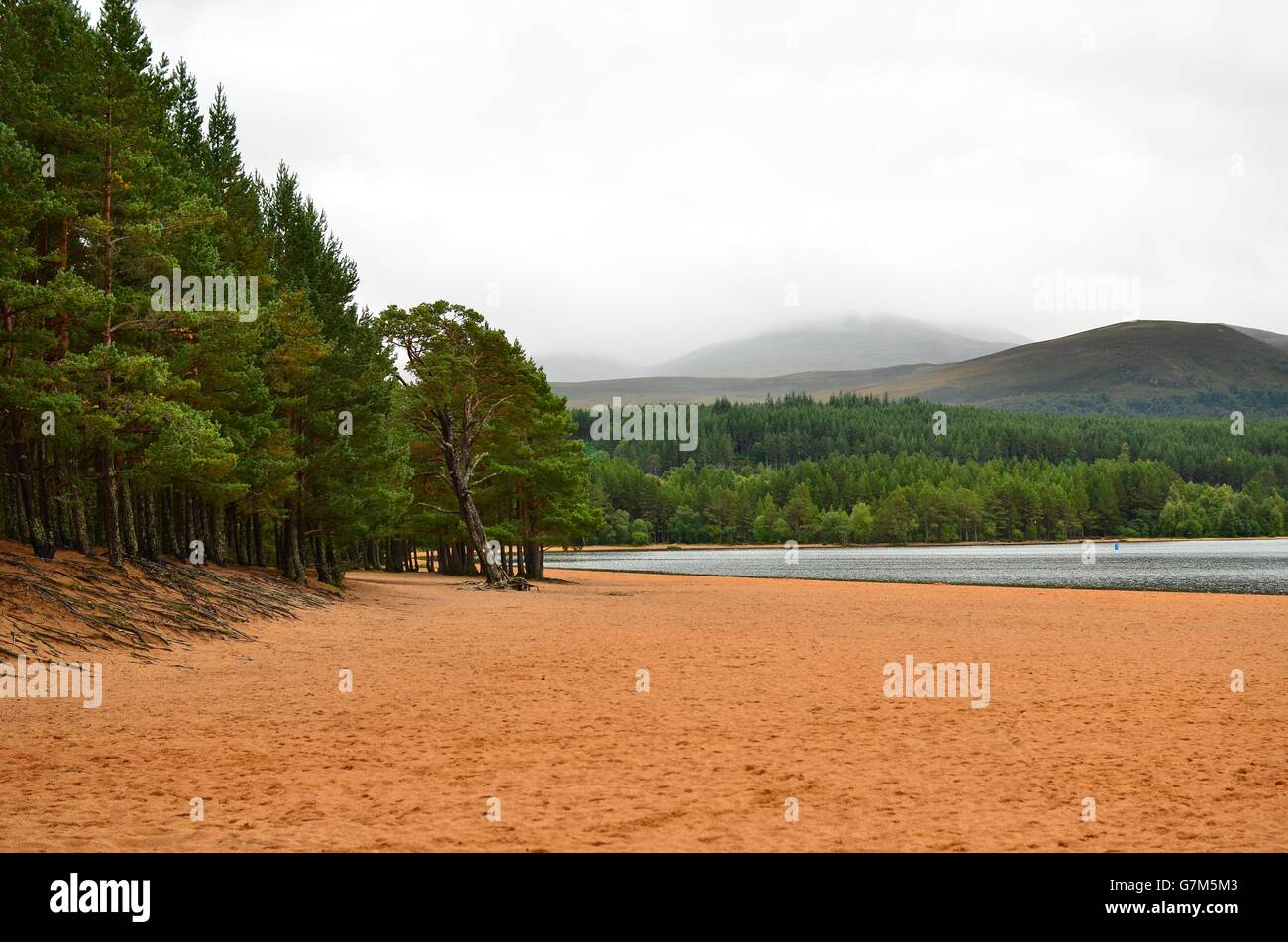Loch morlich beach hi-res stock photography and images - Alamy