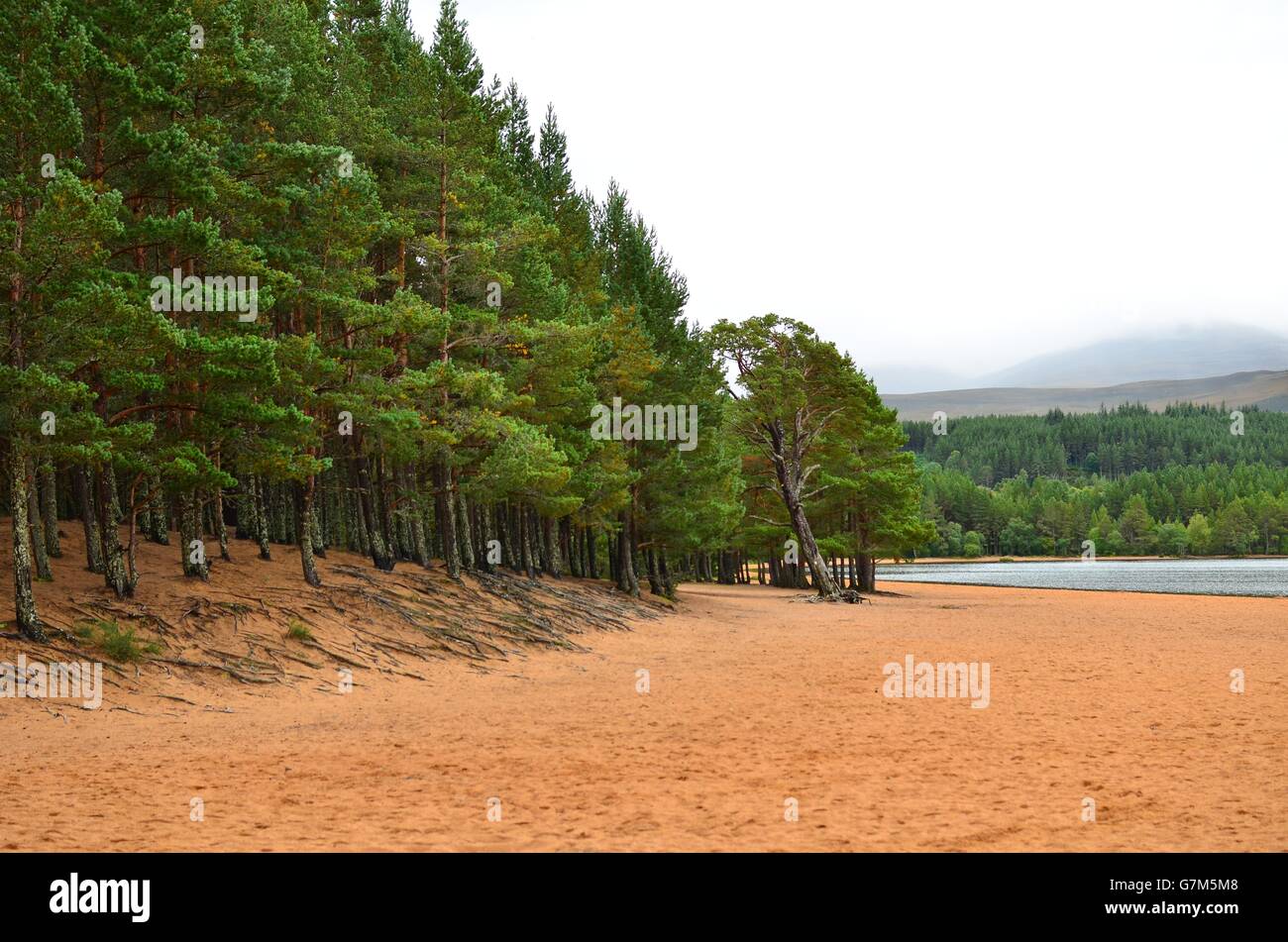 Loch morlich beach hi-res stock photography and images - Alamy
