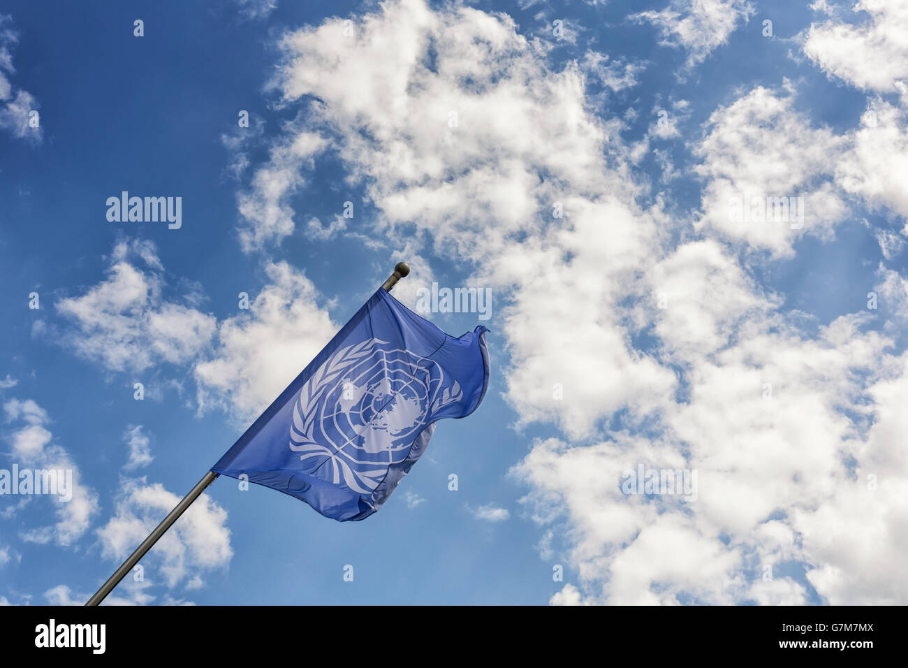 United nations flag flying in blue sky hi-res stock photography and ...