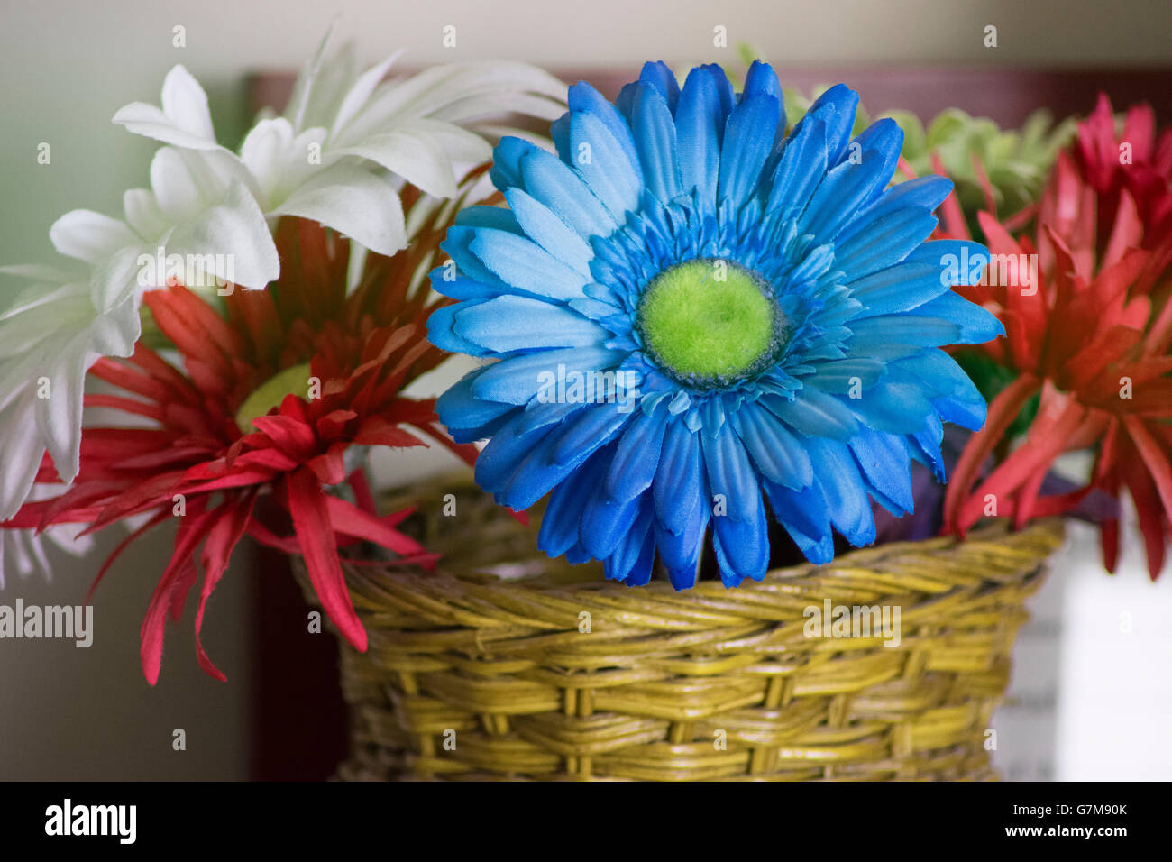 Fake plastic flowers hi-res stock photography and images - Alamy