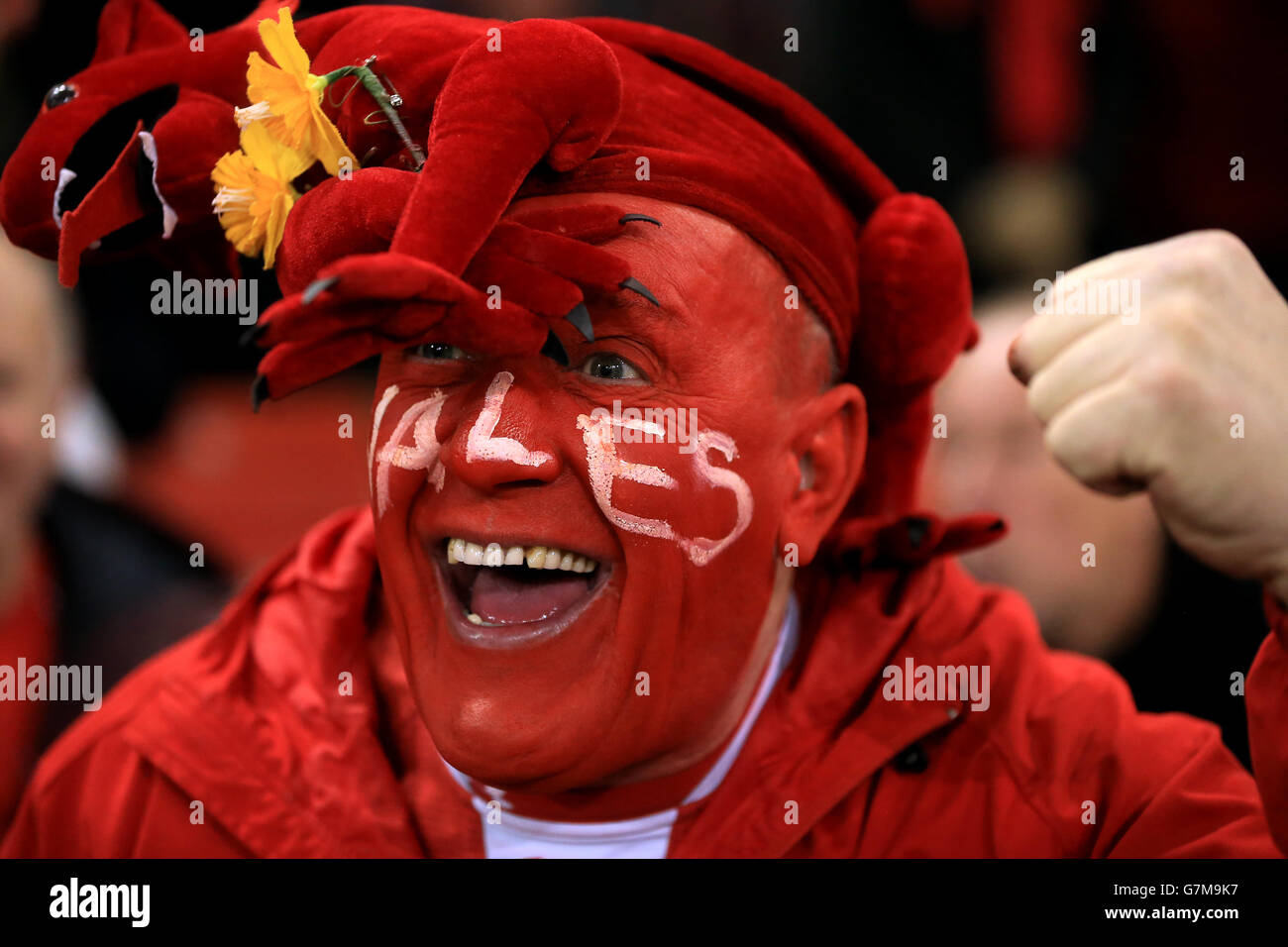 6 championship 6nations sixnations facepaint face paint hi-res stock ...