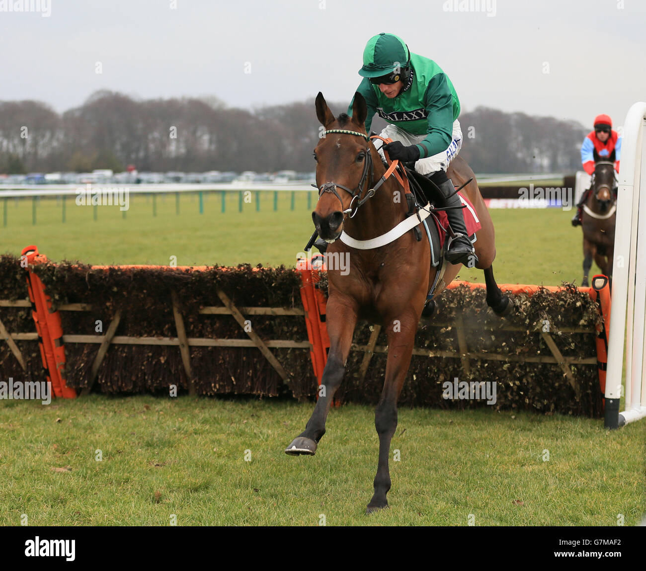 Top notch horse hi-res stock photography and images - Alamy