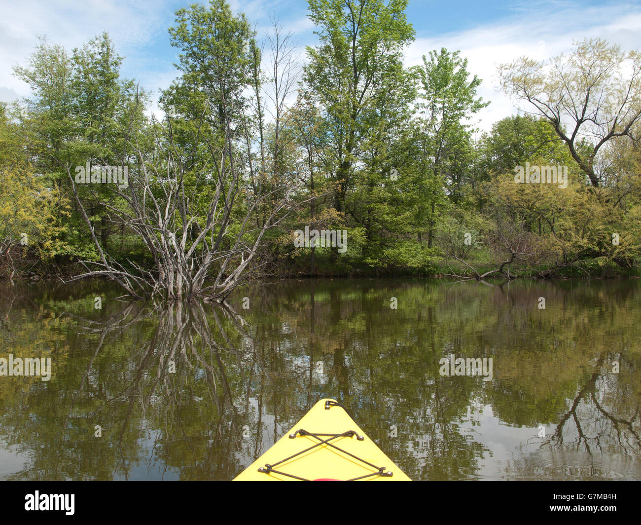 Kalm hi-res stock photography and images - Alamy