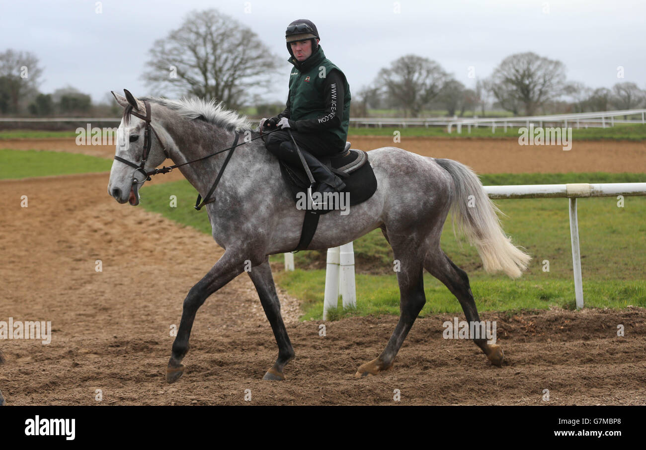 Champagne fever horse hi-res stock photography and images - Alamy