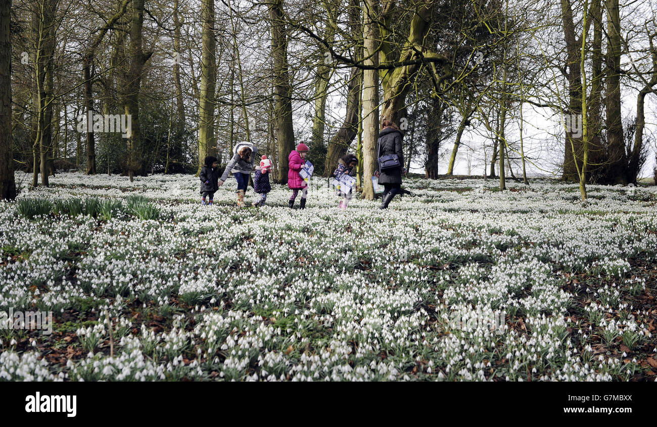 People walk through the snowdrop spectacular at Burton Agnes Hall in ...