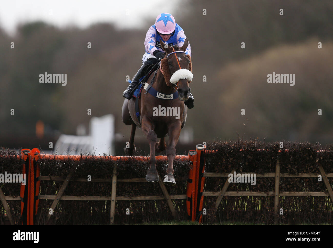 Horse Racing - Andrew West Race Day - Exeter Racecourse Stock Photo - Alamy
