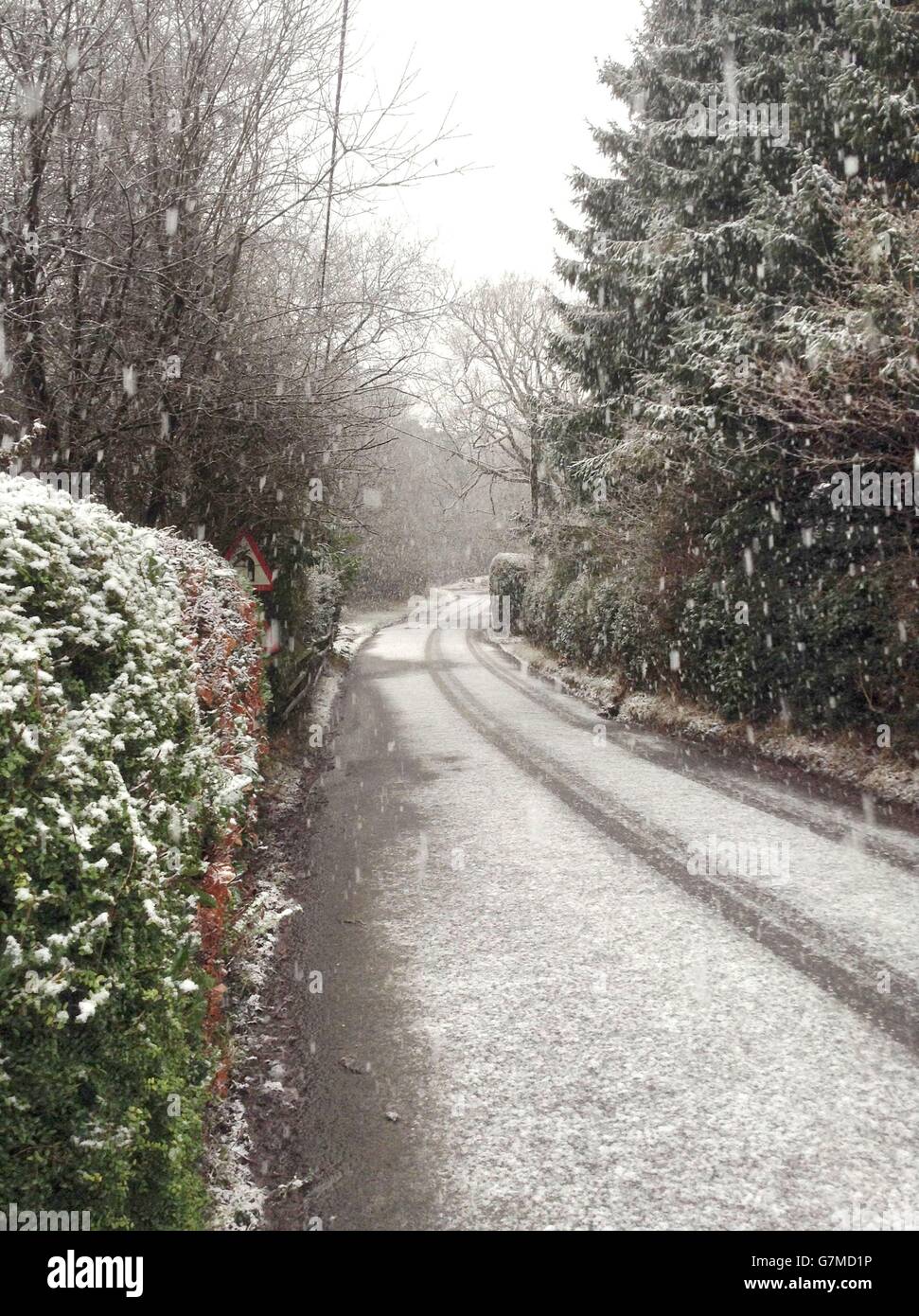 Snow falling near Ashdown Forest, East Sussex as snow fell in Kent and ...