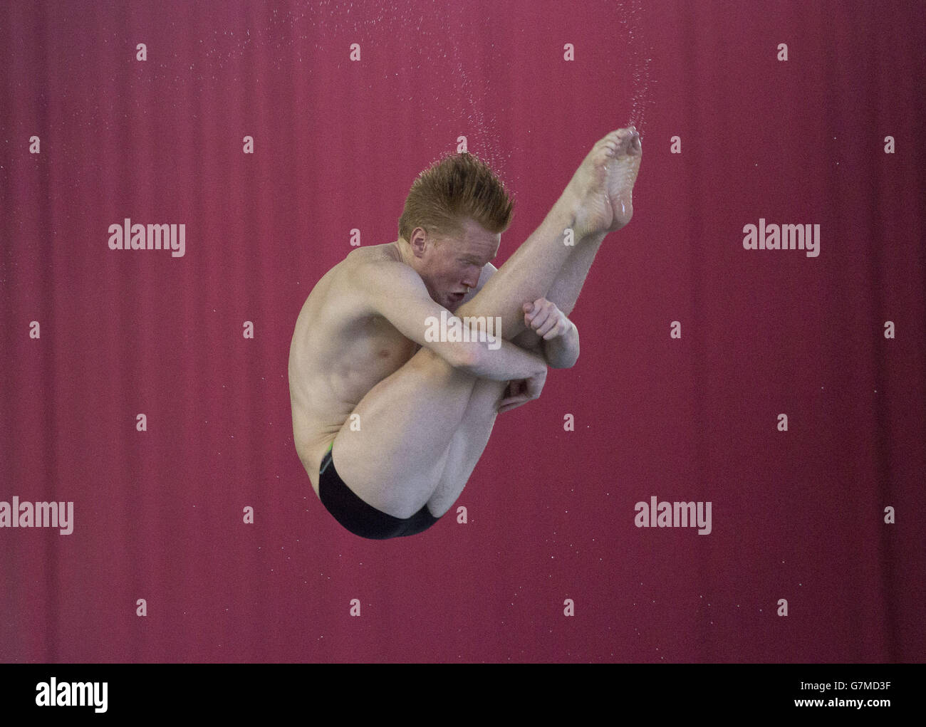 Day two british diving championships plymouth life centre hi-res stock ...
