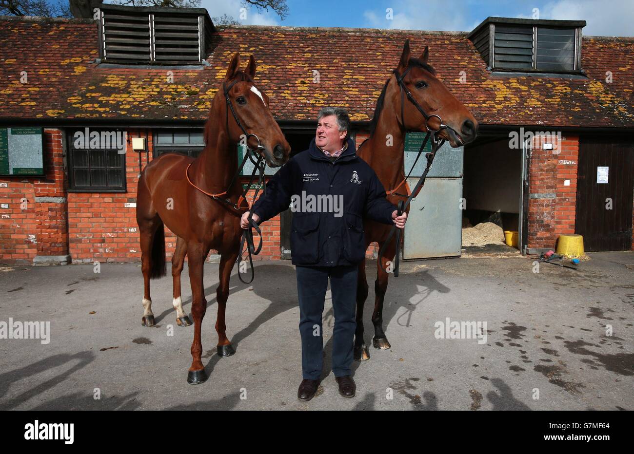 Trainer Paul Nicholls pictured with Silviniaco Conti and Sam Winner ...