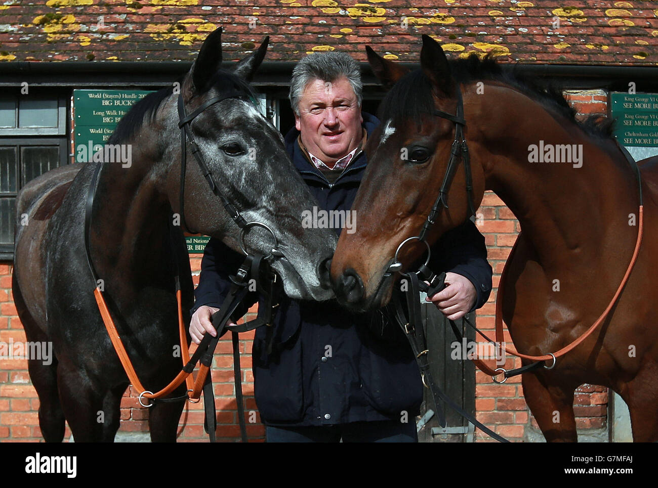 Horse Racing - Paul Nicholls Stables Visit - Manor Farm Stables Stock ...