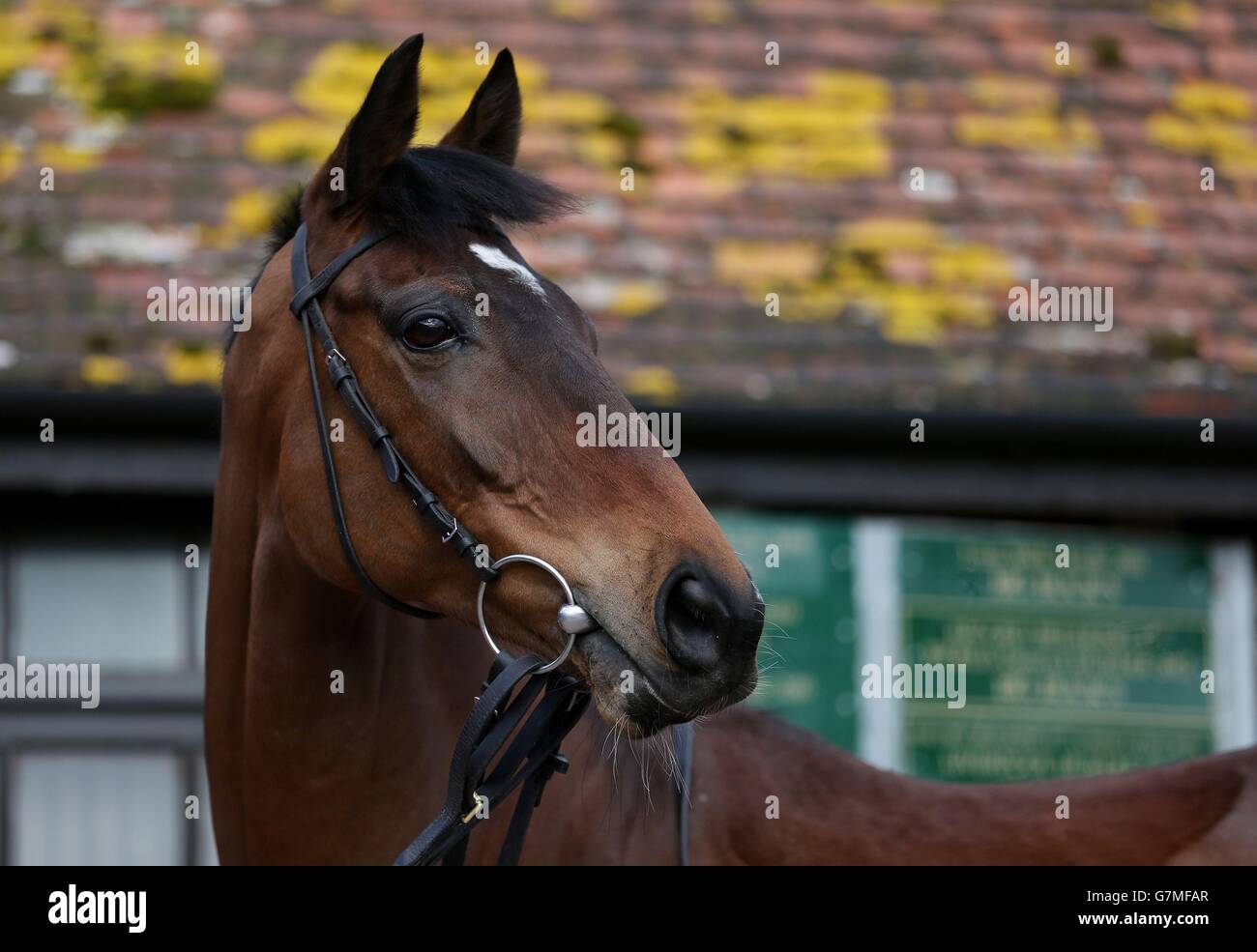 Manor farm stables hi-res stock photography and images - Alamy