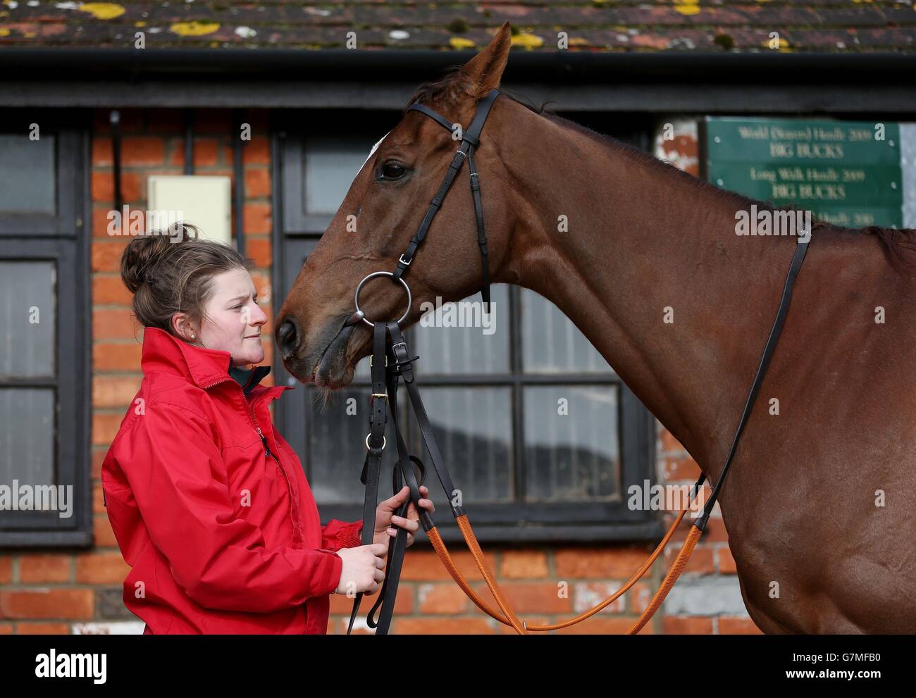 Horse Racing - Paul Nicholls Stables Visit - Manor Farm Stables ...