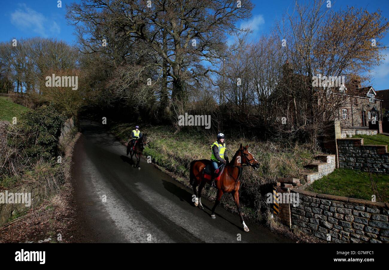 Horse Racing - Paul Nicholls Stables Visit - Manor Farm Stables Stock ...