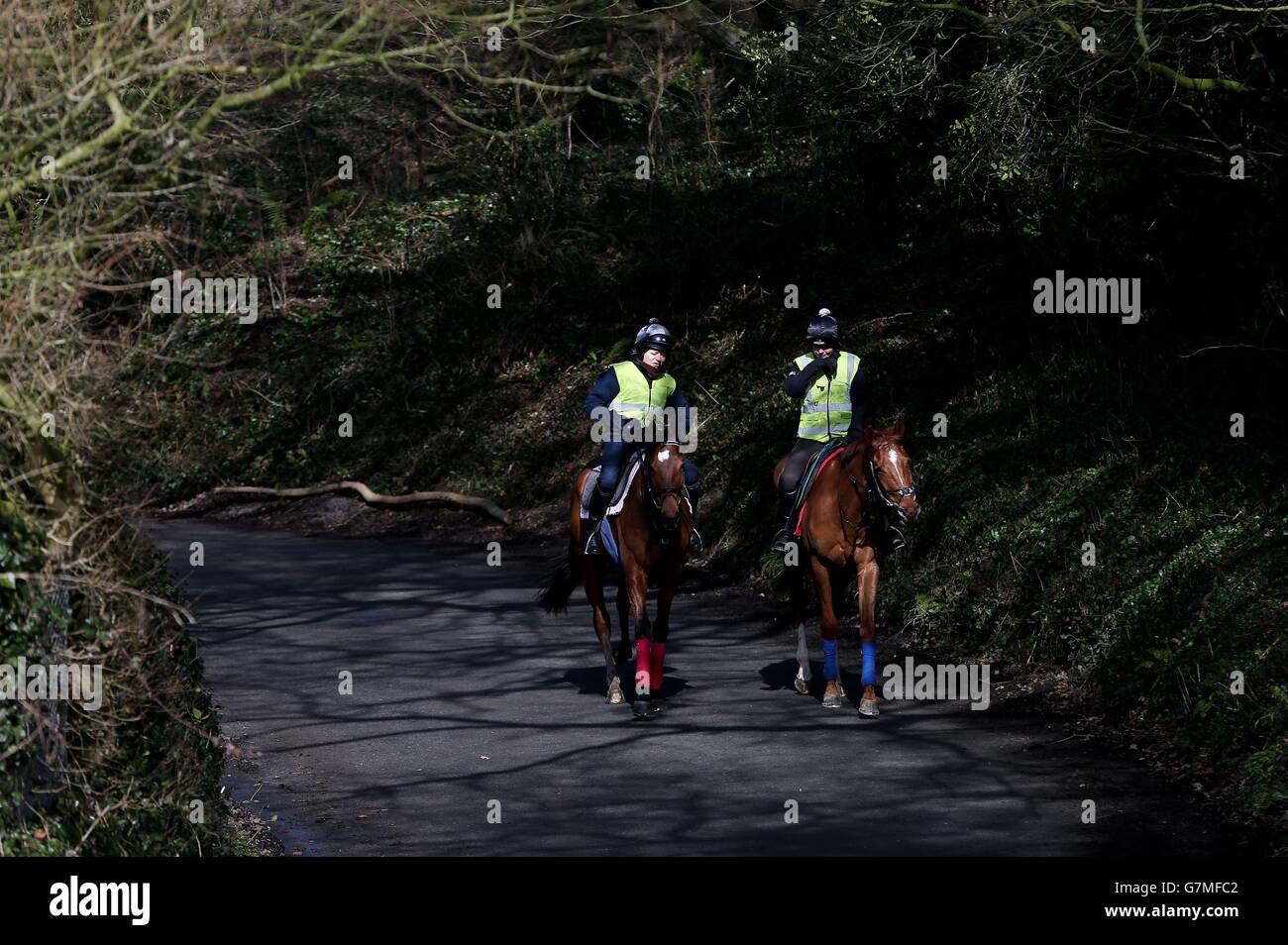 Horse Racing - Paul Nicholls Stables Visit - Manor Farm Stables. Horses ...