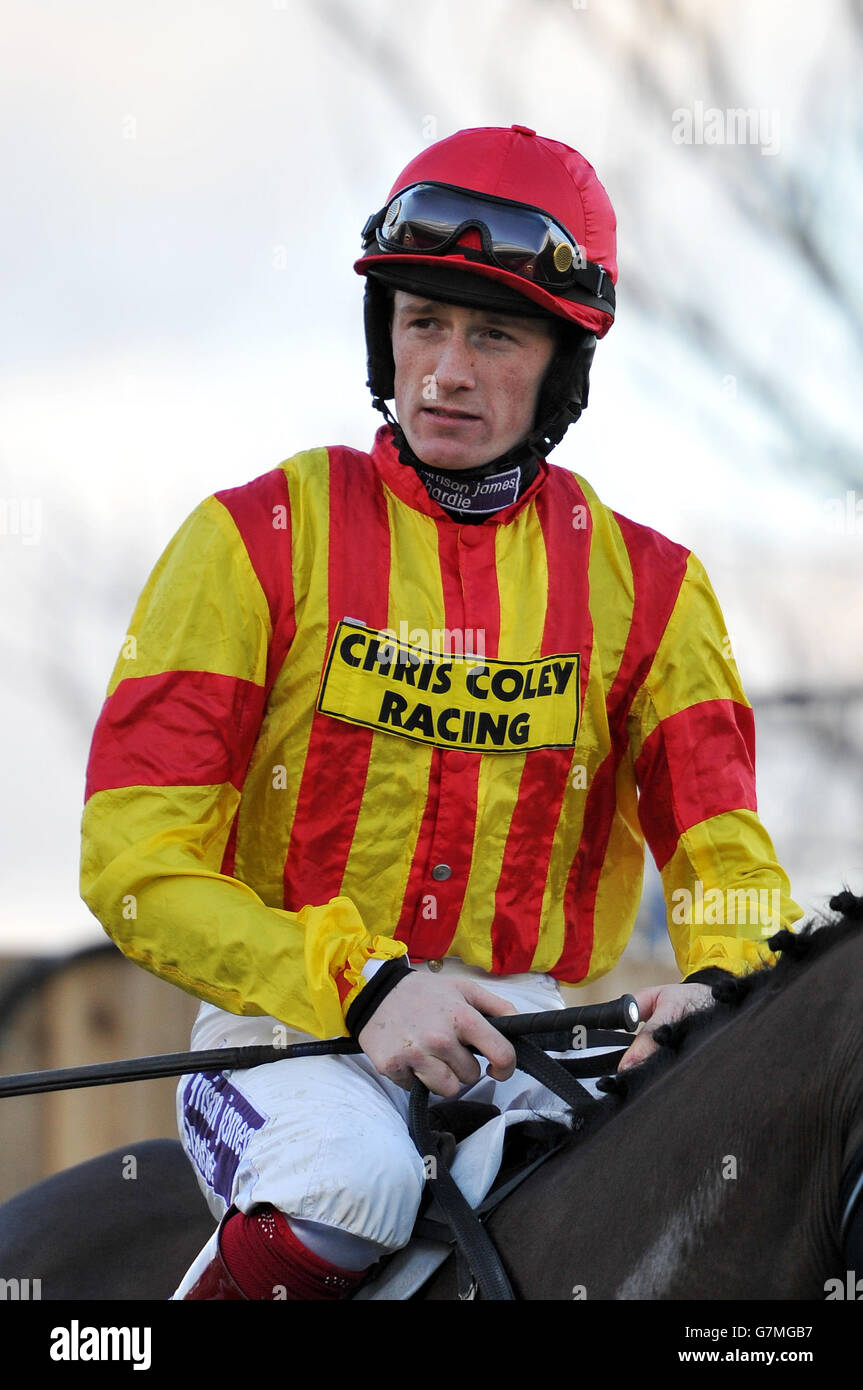 Horse racing half length hi-res stock photography and images - Alamy