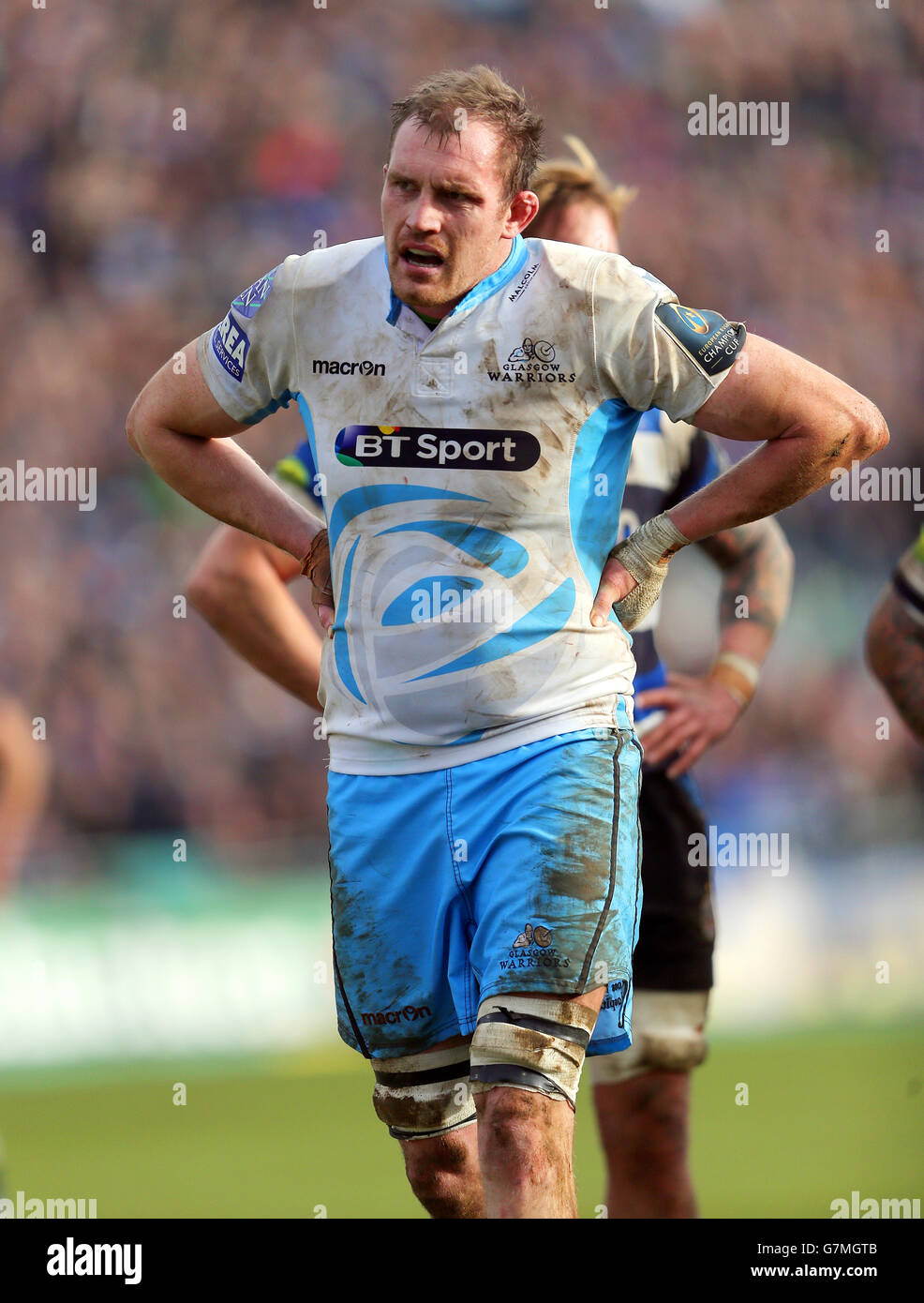 Glasgow warriors al kellock during the champions cup hi-res stock ...