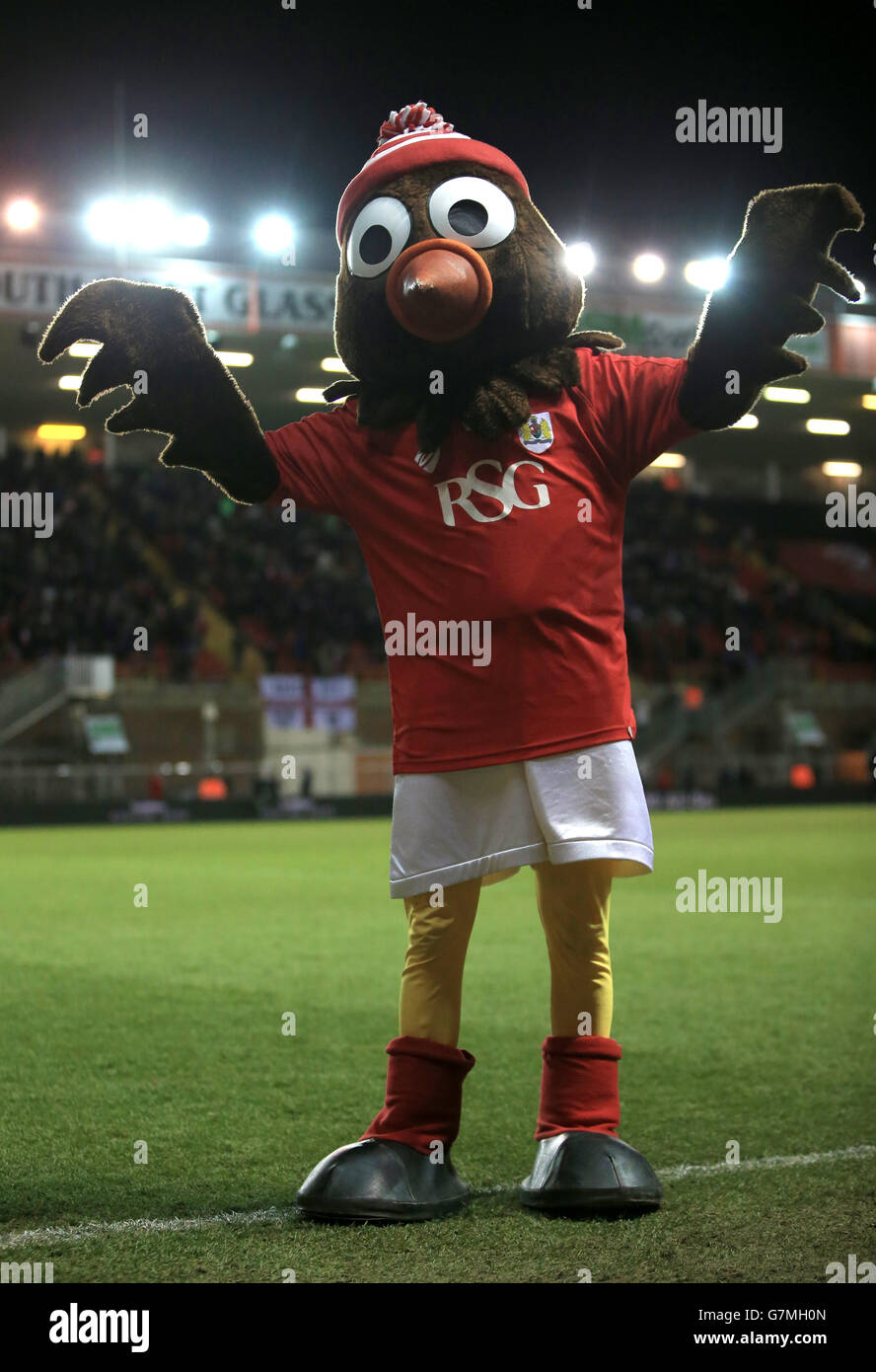Scrumpy the robin hi-res stock photography and images - Alamy