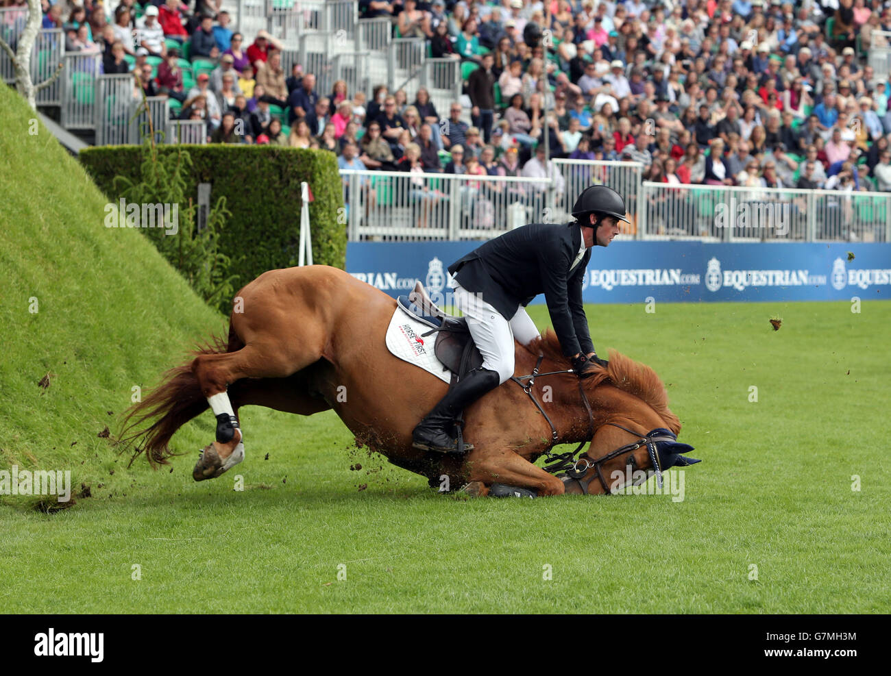 David Simpson riding Rolo Tomasi has a fall on day four of the ...