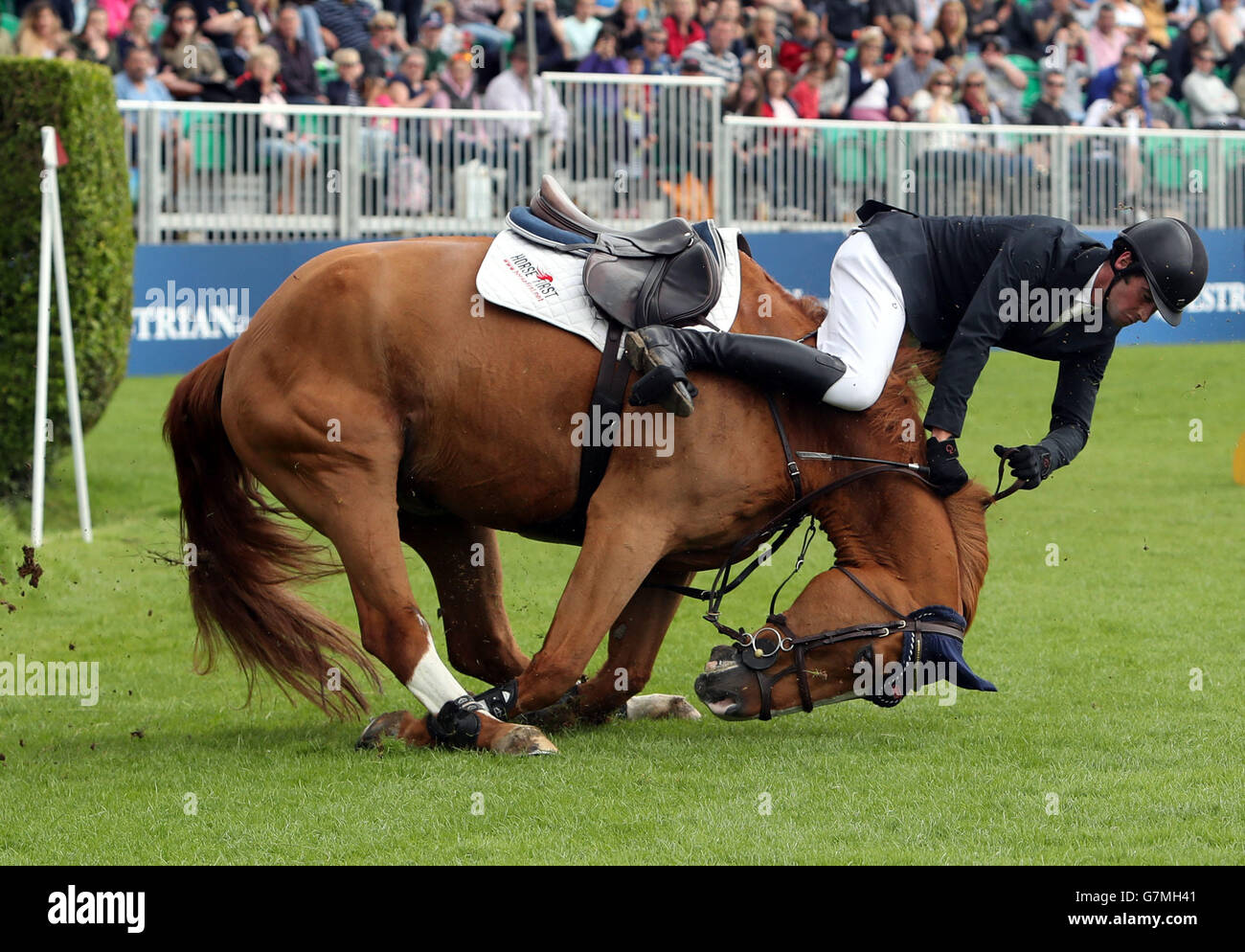 David Simpson riding Rolo Tomasi has a fall on day four of the Hickstead Derby Meeting at the ...