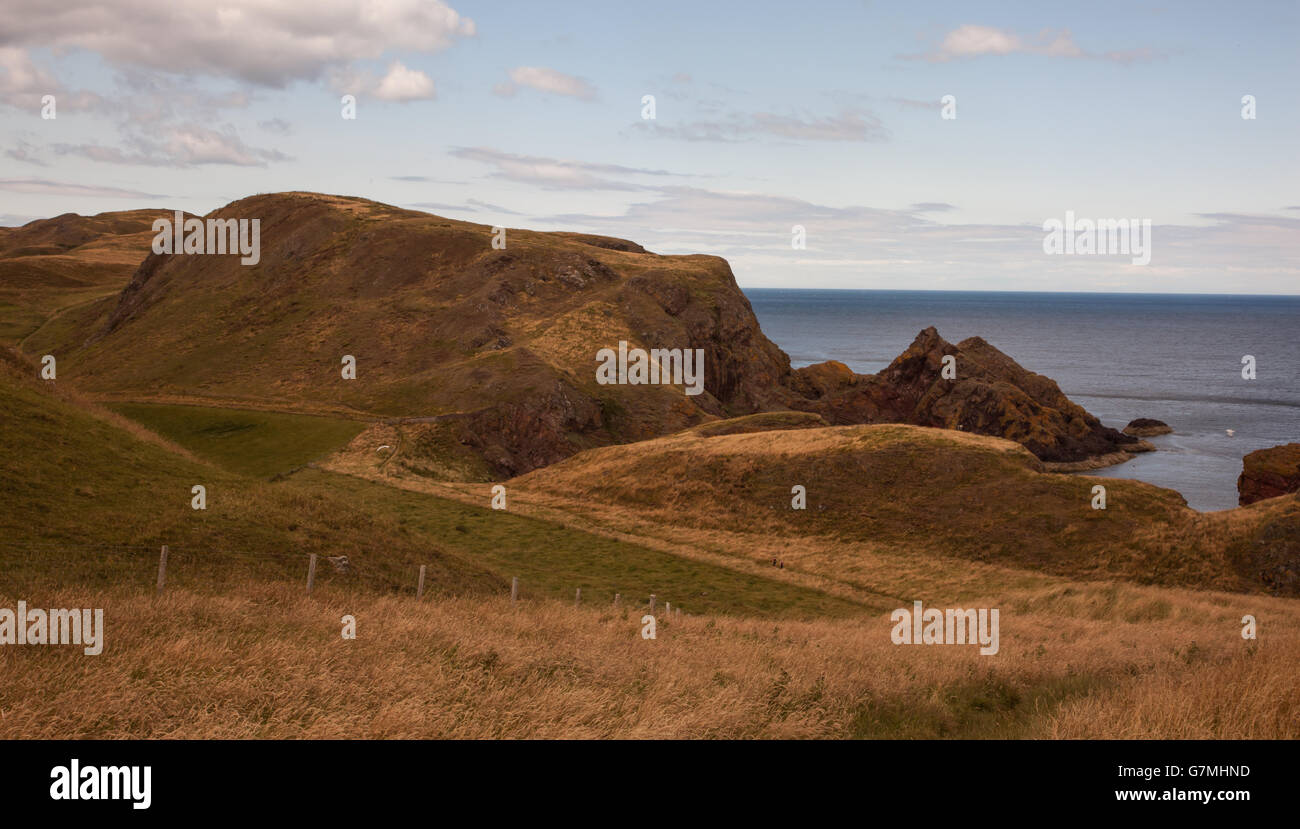 St Abbs Hillside Stock Photo - Alamy