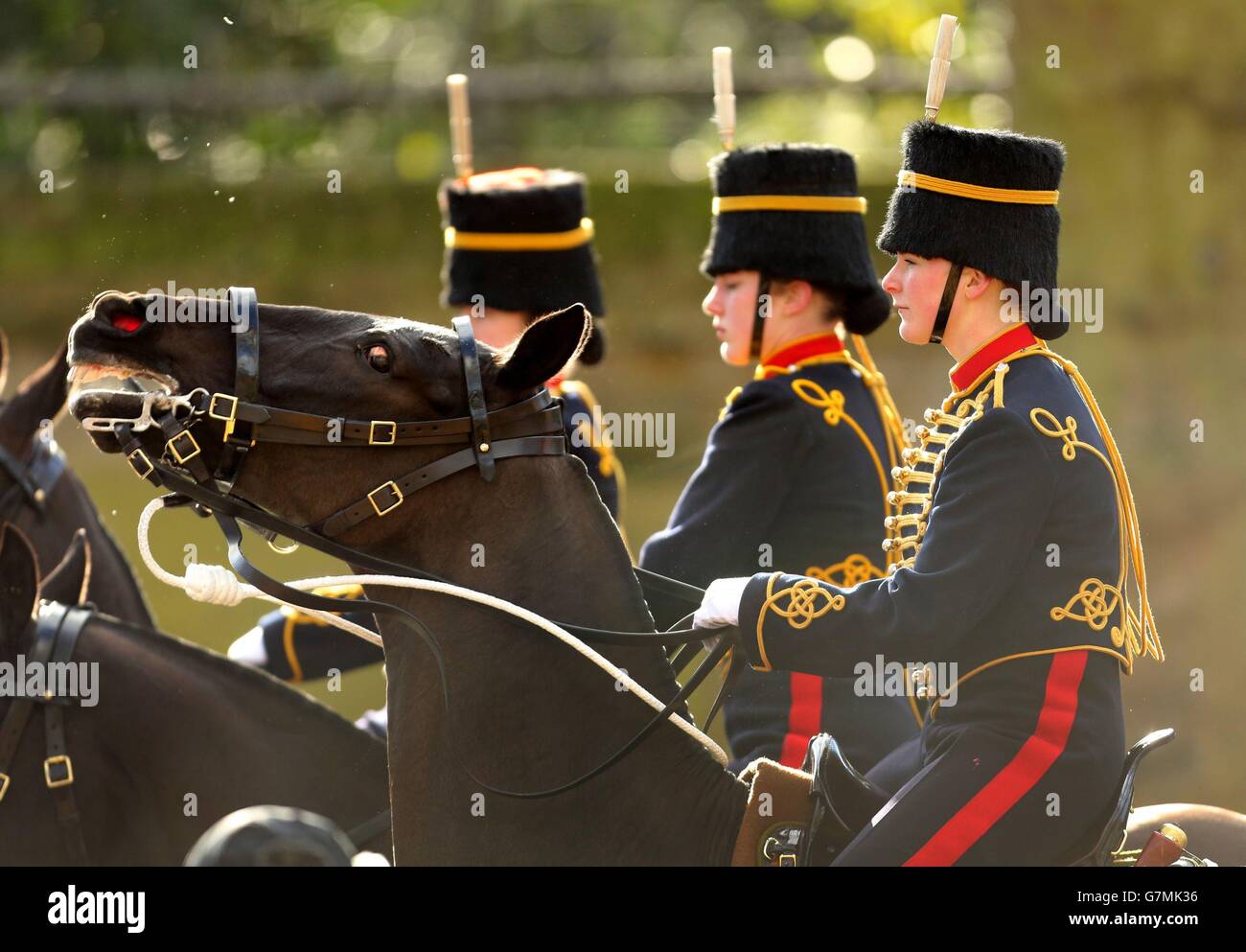 Accession Day anniversary Stock Photo - Alamy