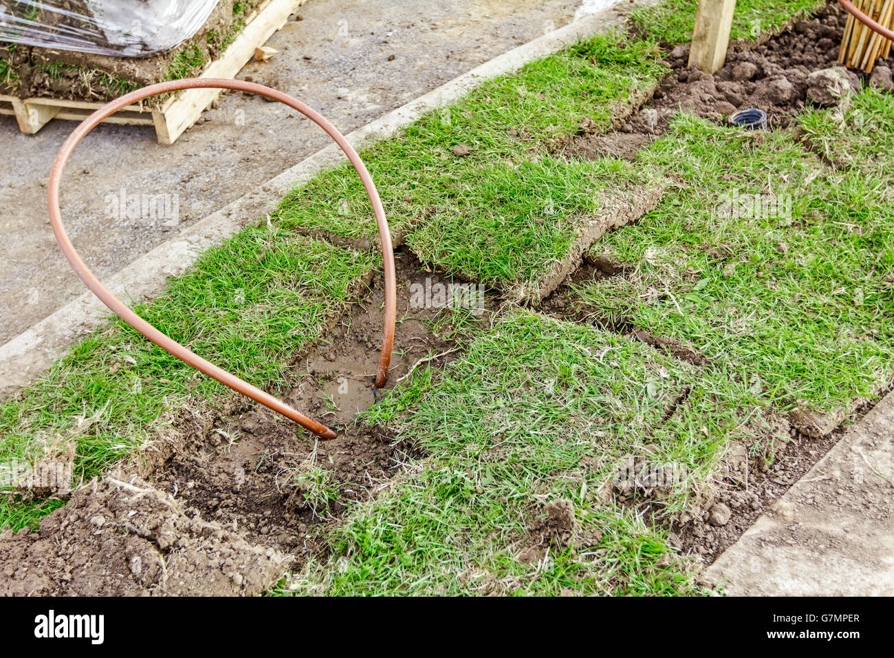 Bended copper pipe is coming out from the ground around grass roots ...