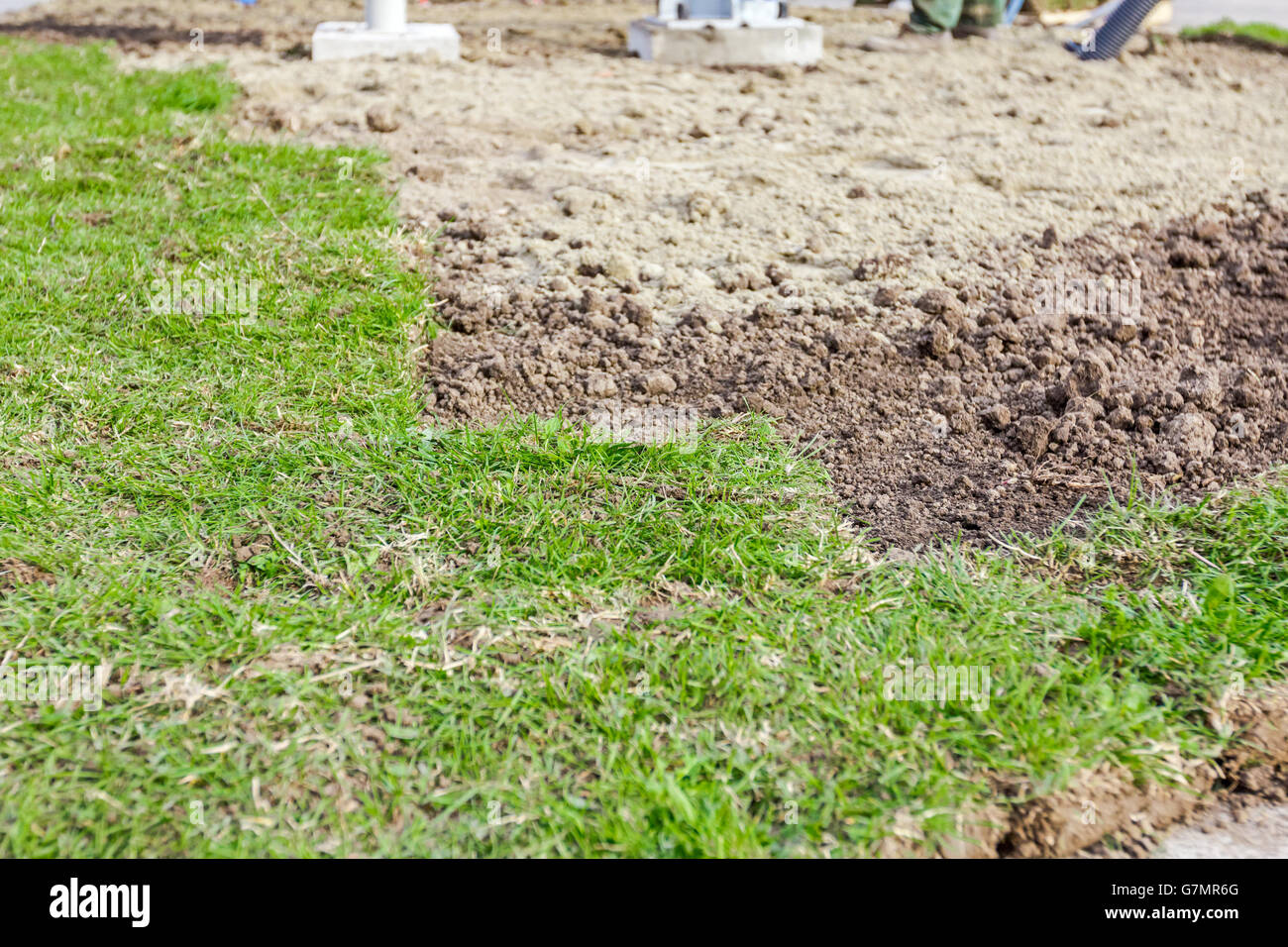 Unrolling grass, applying turf rolls for a new lawn, work in progress ...