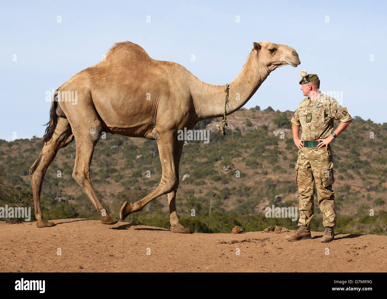 Corporal sam hi-res stock photography and images - Alamy