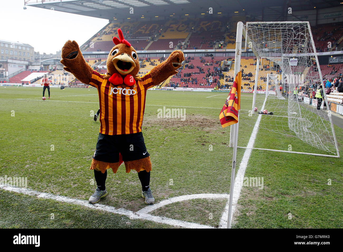Mascot billy bantam hi-res stock photography and images - Alamy