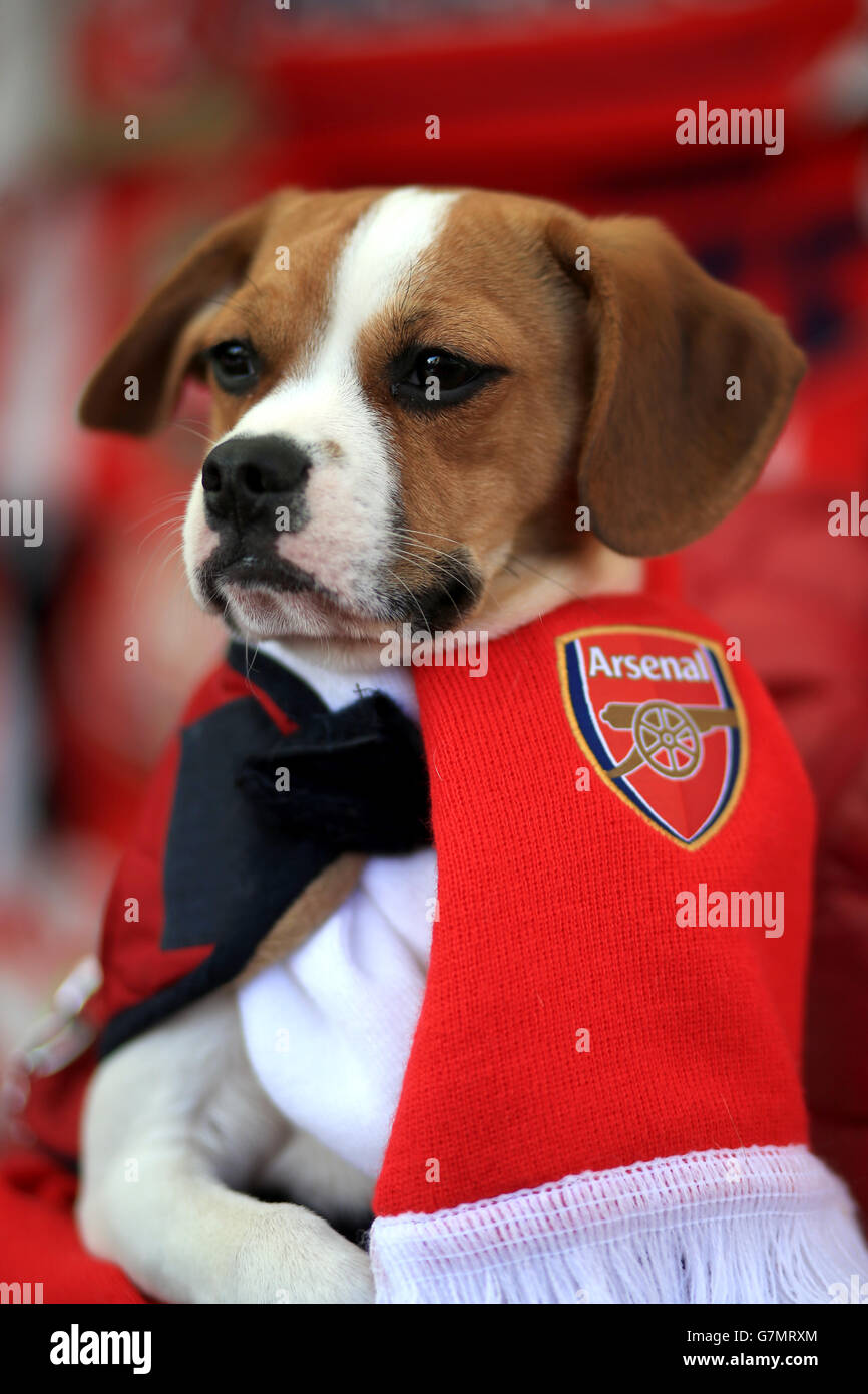 Soccer - FA Cup - Fifth Round - Arsenal v Middlesbrough - Emirates ...