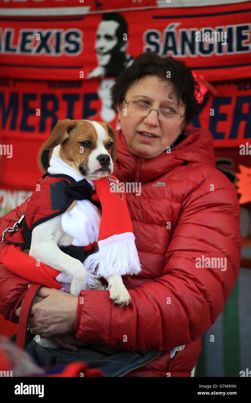 A pet dog wearing Arsenal colours outside the ground before the FA Cup ...